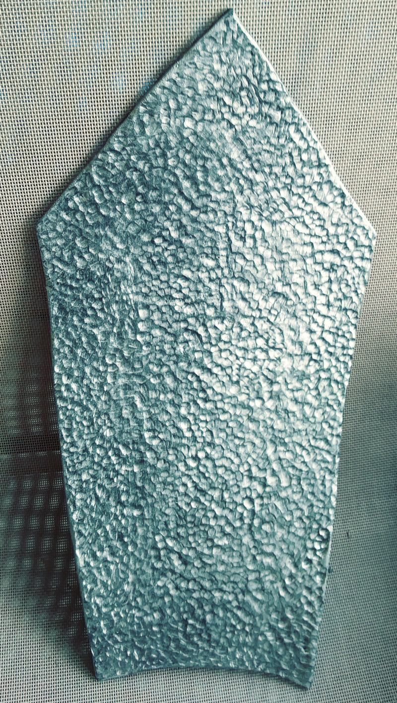 Shins – Sherry's Journeys